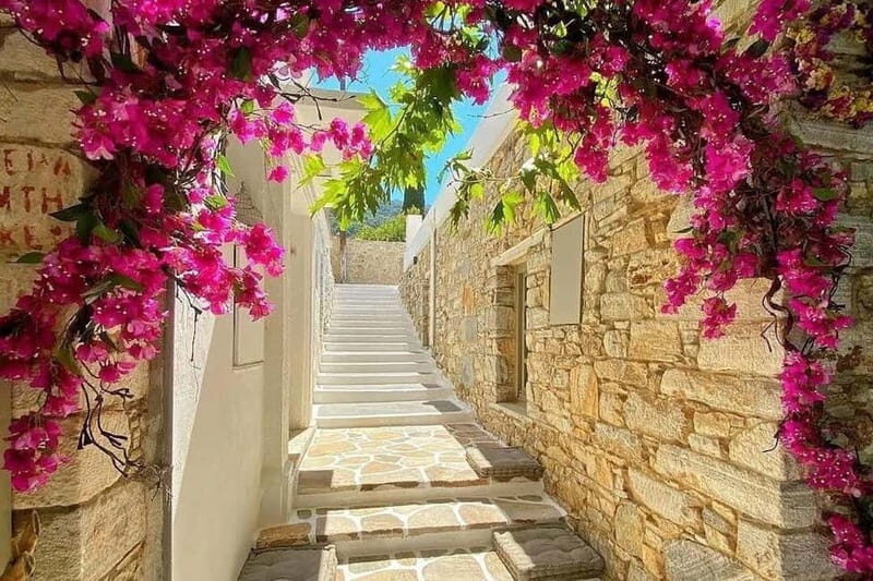 Naxos Villages Private 4 Hour Tour - The Practical Side of the Tour