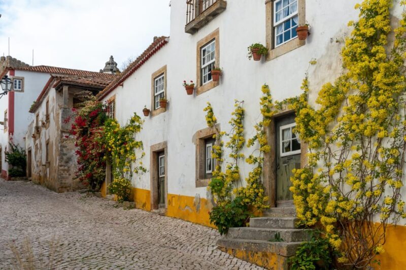 Nazaré and Óbidos private tour - Comparing Similar Experiences