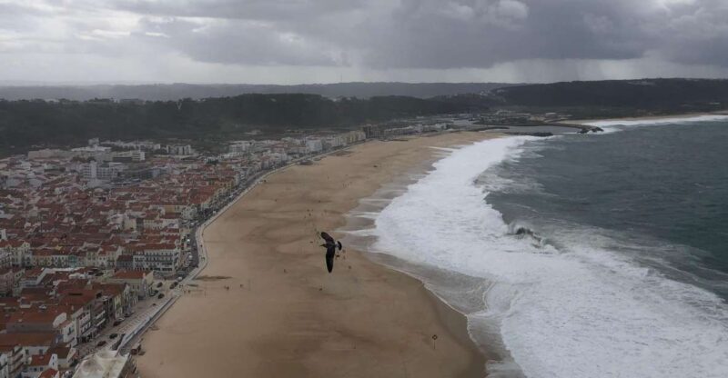 Nazaré: Big Wave Capital & Medieval Óbidos tour from Lisbon - Exploring the Coastal Marvel of Nazaré