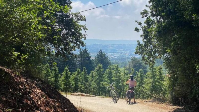 Nazaré E-Bike Tour - Off Road Coast Tour - Why the Price Offers Good Value