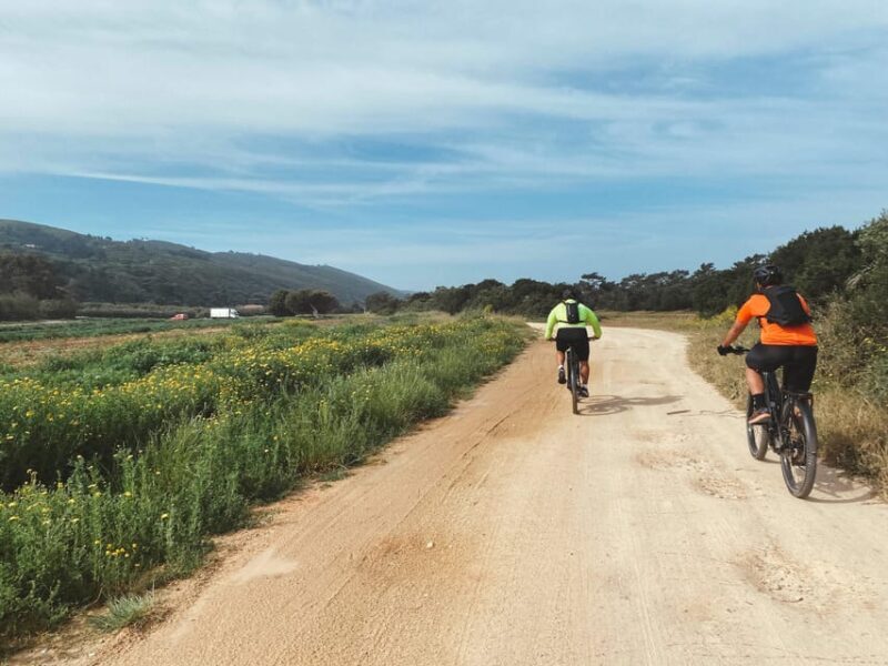 Nazaré-São Martinho E-bike tour - Authentic Experiences & Genuine Value