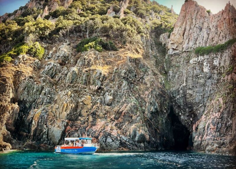 Near Ajaccio : Cruise to Piana Scandola cliff tasting sunset - Key Points