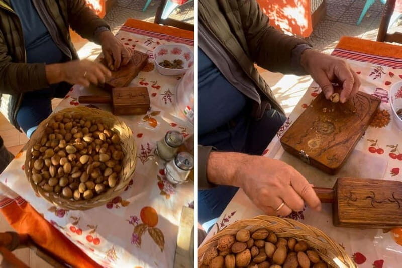 Near Cagliari: Almond Blossom Magic at "In Our Garden" (new) - Near Cagliari: Almond Blossom Magic at "In Our Garden" (new)