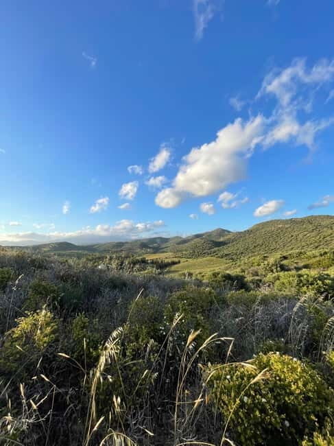 Near Cagliari: Almond Blossom Magic at "In Our Garden" (new) - Exploring the Almond Grove: What You Can Expect