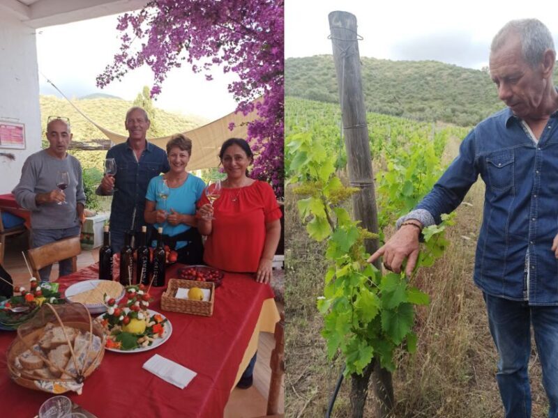 Near Cagliari: The World of Natural Wine at "In Our Garden" - Who Should Consider This Tour?