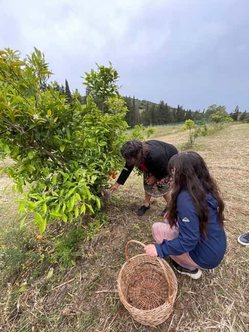 Near Cagliari: Wild Herbs and Healing at "In Our Garden" - Analyzing the Value