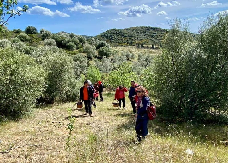 Near Cagliari: Wild Herbs and Healing at "In Our Garden" - FAQs