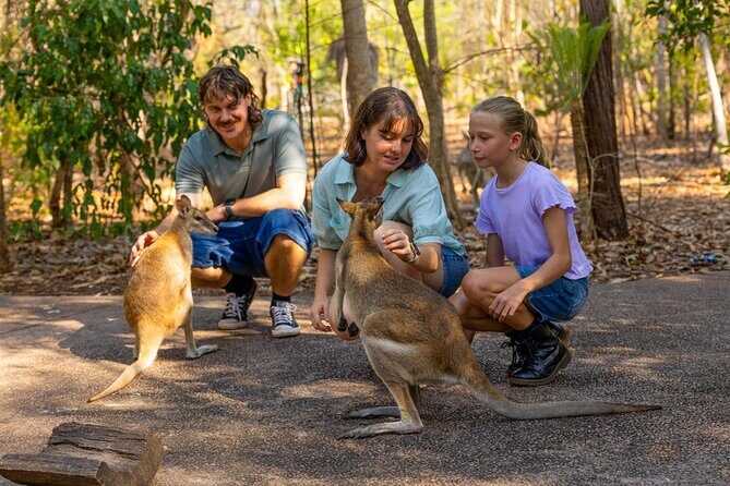 Near Darwin Territory Wildlife Park General Entry - Who Should Consider This Tour?