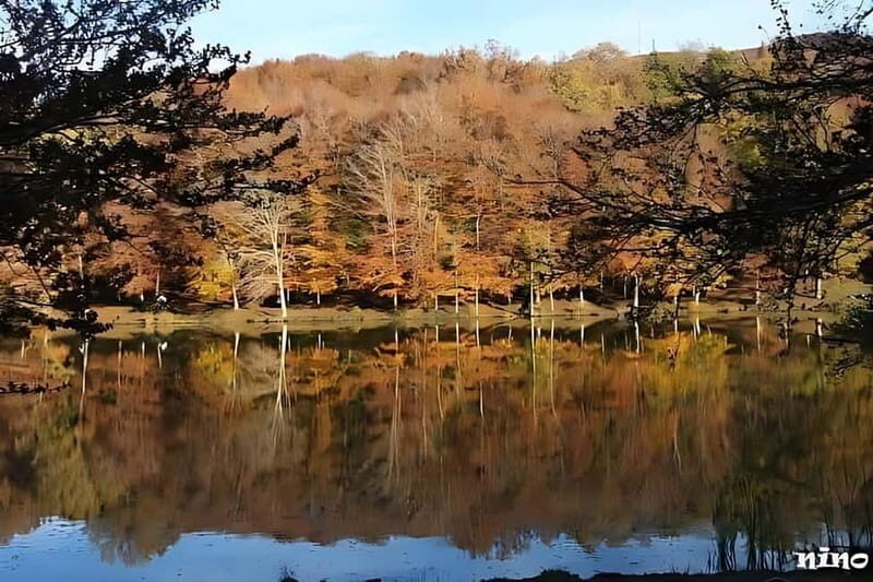 Nebrodi Park: tour with visiting lakes and tasting of typical products - The Sum Up
