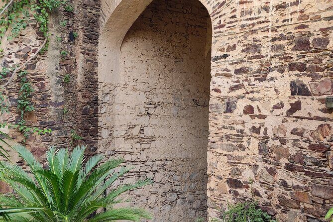 Neemrana Fort visit with Lunch From Delhi - The Journey to Neemrana: What to Expect