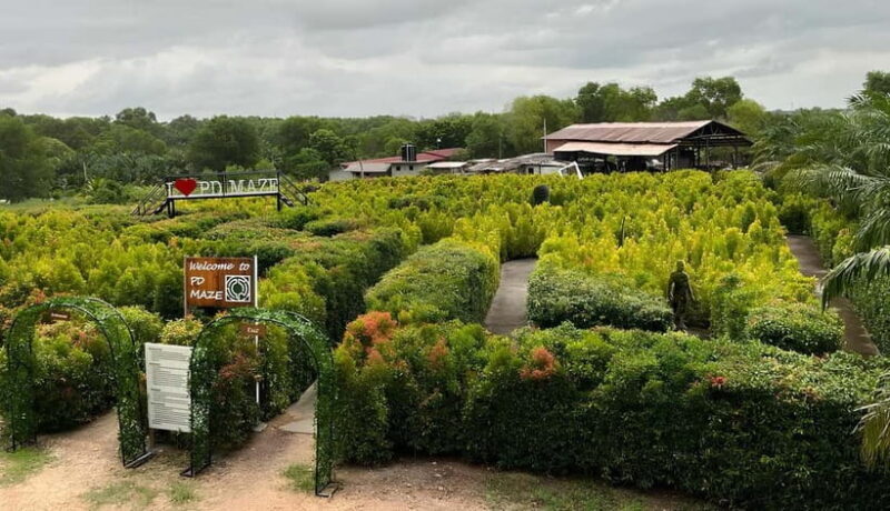 Negeri Sembilan: PD Maze Admission Ticket - What is PD Maze? An Overview