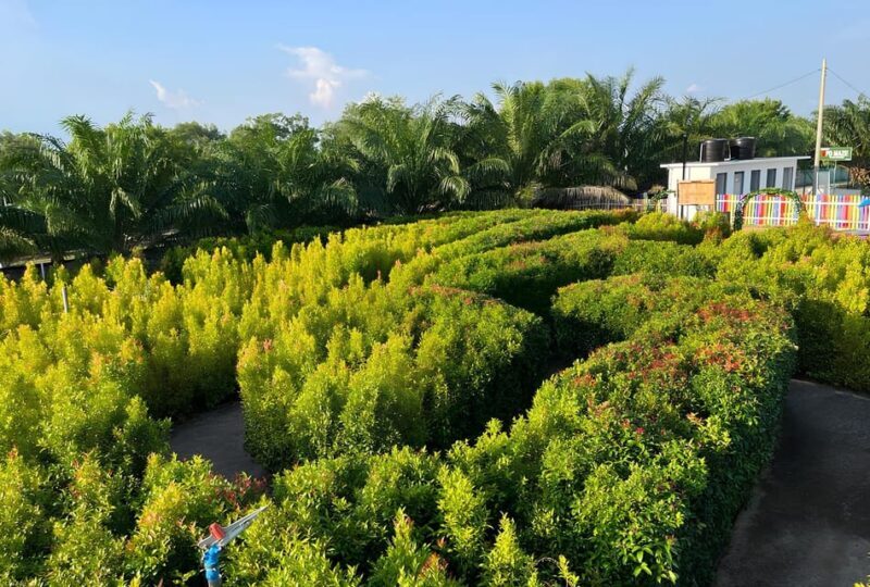 Negeri Sembilan: PD Maze Admission Ticket - Who Will Enjoy PD Maze?