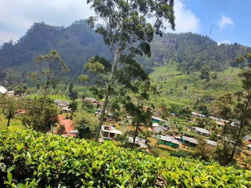 Negombo: 3-Day Sigiriya, Kandy, & Nuwara Eliya Tour - FAQ