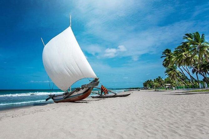 Negombo City And Fishing Village Private Day Tour From Colombo - An In-Depth Look at the Tour Itself