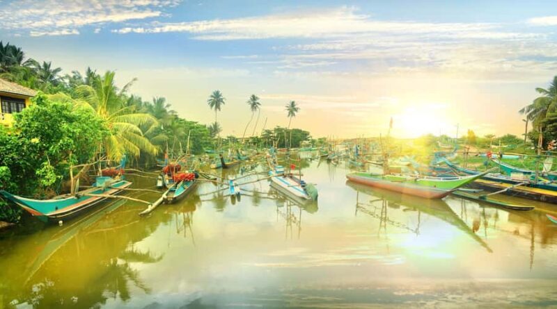 Negombo City Highlight & Local Food Tasting All Include Tour - Key Points