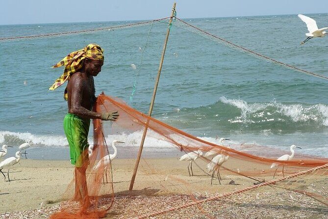 Negombo City Highlights Tour Temples, Churches and Fish Markets - What the Reviews Tell Us