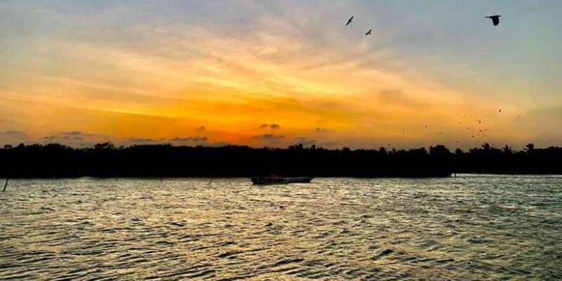 Negombo City Highlights with Traditional Catamaran Ride - Discovering Negombo’s Vibrant Fish Market