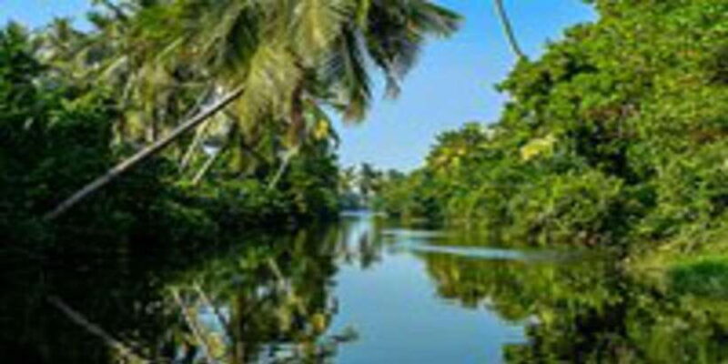 Negombo City Highlights with Traditional Catamaran Ride - Savoring Local Food and the Beach Hoppers