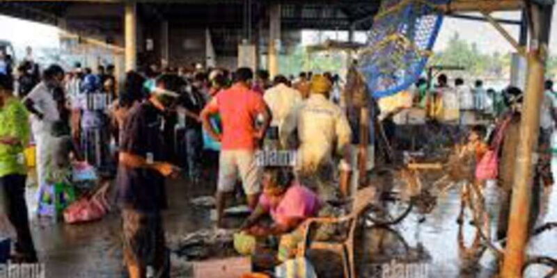 Negombo City Highlights with Traditional Catamaran Ride - The Highlight: Traditional Catamaran Ride