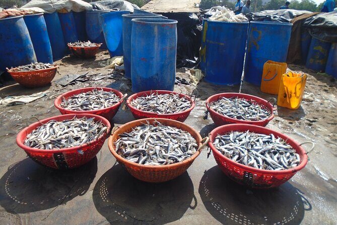 Negombo City Tour by Tuk Tuk - Who Will Love This Tour?