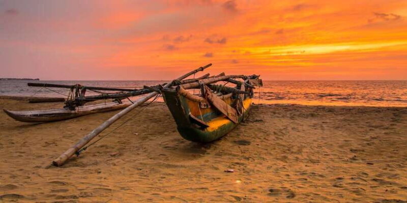 Negombo: City Tour from Colombo - What Travelers Say