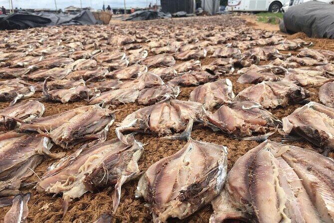 Negombo City Tour & String Hopper Cooking Experience Half Day - Key Points