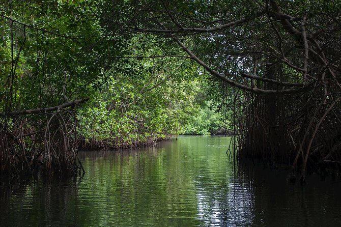 Negombo City Tour & String Hopper Cooking Experience Half Day - Introduction: A Genuine Sri Lankan Adventure in Negombo