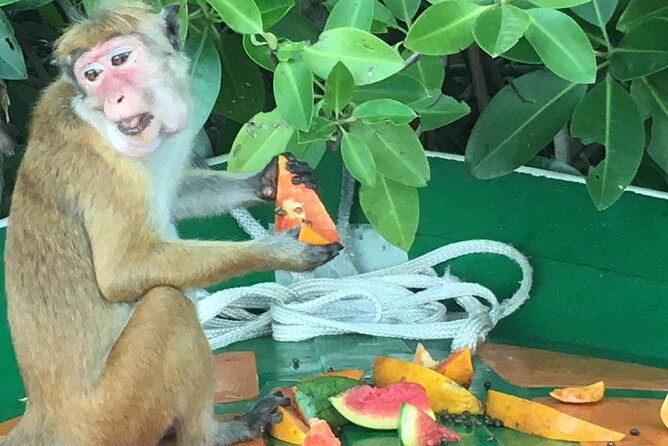 Negombo City Tour & String Hopper Cooking Experience Half Day - Authenticity and Value