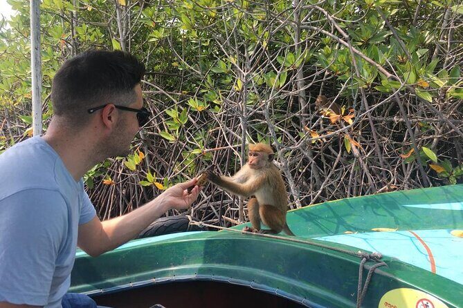 Negombo City Tour & String Hopper Cooking Experience Half Day - Who This Tour Is Ideal For