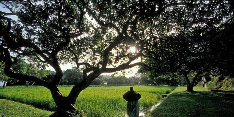 Negombo/Colombo: Bawa's Estate & Brief Garden Private Tour - Key Points