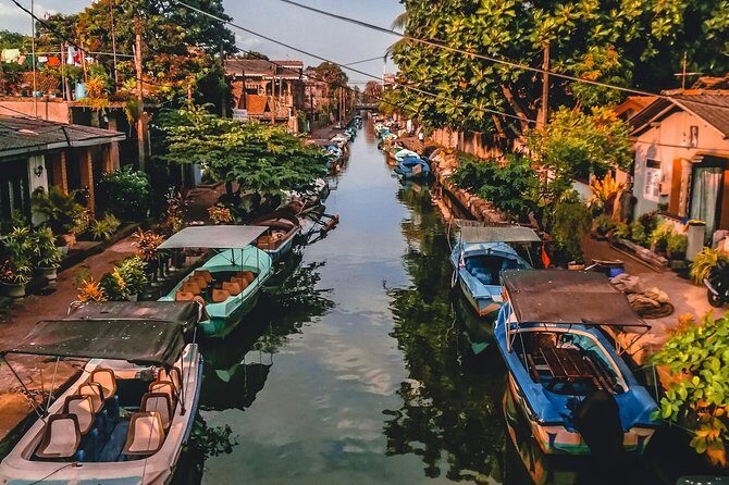 Negombo Day Tour - What to Expect from the Negombo Day Tour