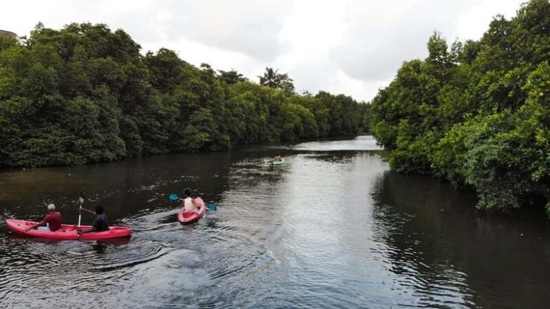 Negombo: Guided Kayaking Tour in the Lagoon - Introduction: A Serene Paddle through Negombo Lagoon