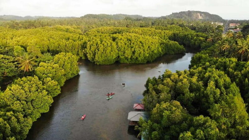 Negombo: Guided Kayaking Tour in the Lagoon - Key Points