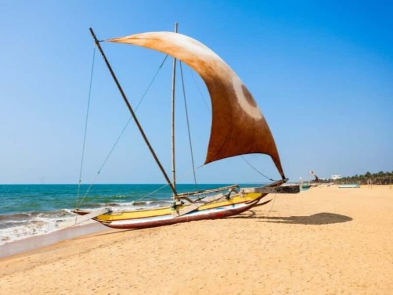 Negombo Lagoon Boat Tour, Hotel Pickup (Monkey, Mangrove) - What the Tour Offers and Why It Matters