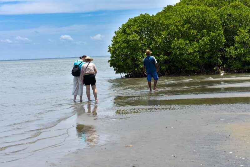 Negombo: Lagoon Boat Tour with hotel transfers & fruit snak - Key Points