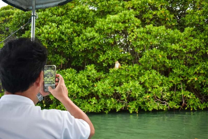 Negombo: Lagoon Boat Tour with hotel transfers & fruit snak - Starting with Comfort and Convenience