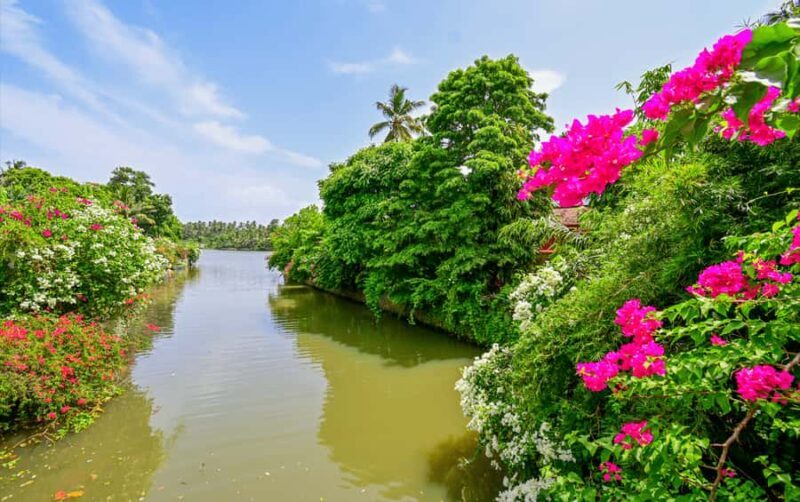 Negombo Lagoon & Dutch Canal Sunset Boat Tour - An Overview of the Experience