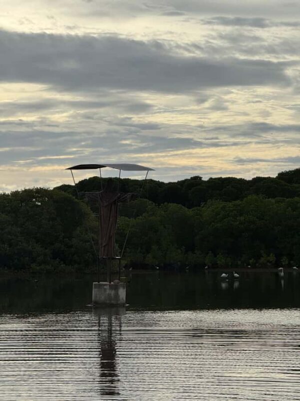 Negombo Lagoon & Dutch Canal Sunset Boat Tour - Real Traveler Insights