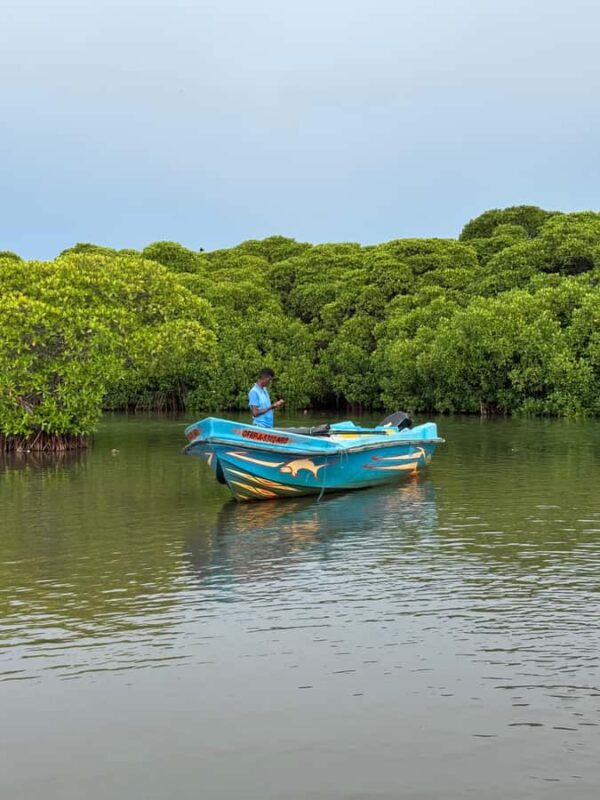 Negombo Lagoon & Dutch Canal Sunset Boat Tour - FAQ