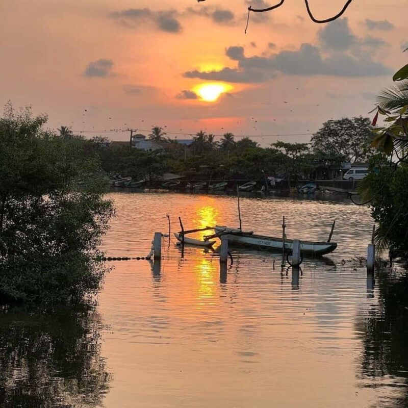 Negombo Lagoon & Muthurajawela Boat Tour - What’s the Value?