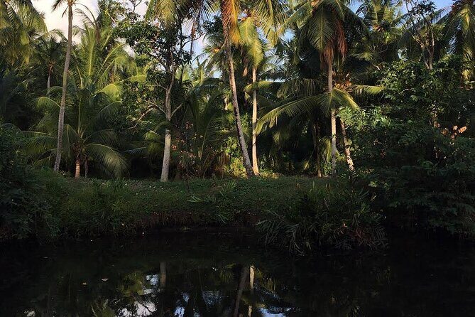 Negombo Lagoon & Muthurjawela Bird Watching Boat Tour - Overall Value and Final Thoughts