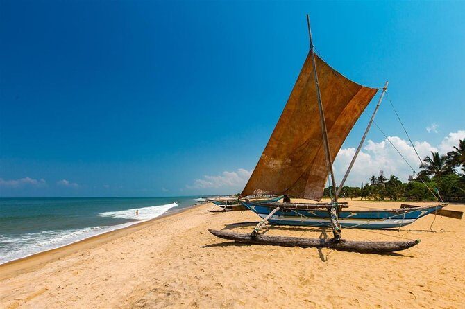 Negombo One Day Trip from Colombo - In-Depth Review of the Negombo Day Trip