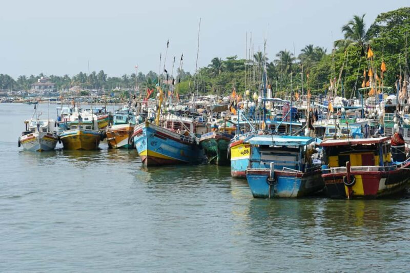 Negombo Private Tour: Market, Temples & Canal - An In-Depth Look at What to Expect