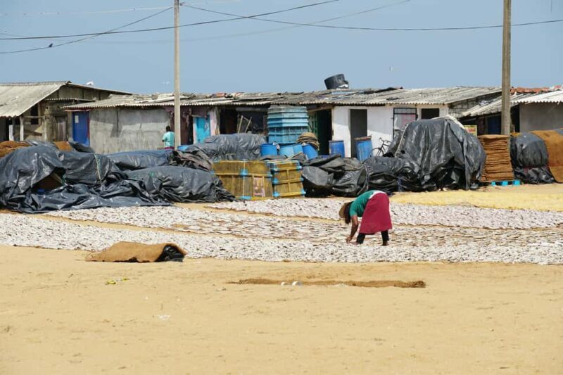 Negombo Private Tour: Market, Temples & Canal - Final Thoughts