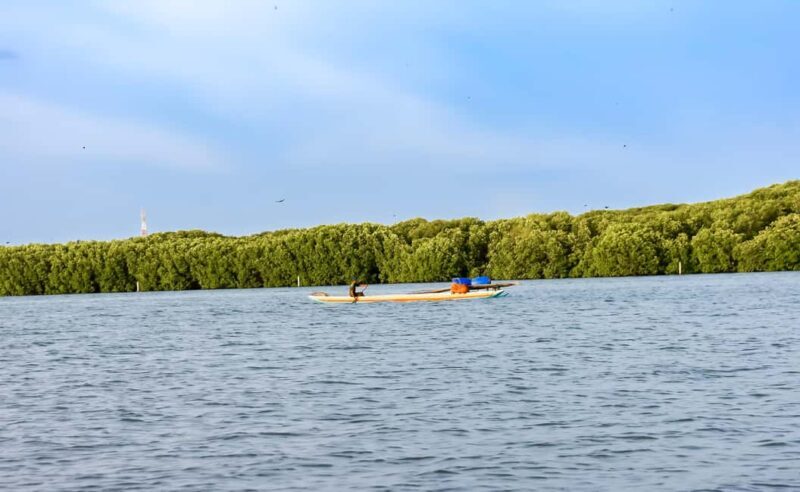 Negombo: Sunset lagoon boat tour with hotel transfers - Final Thoughts
