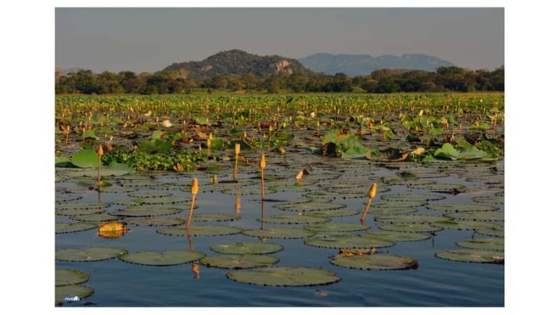 Negombo: To Sigiriya & Dambulla Private Tour with Lunch - FAQs