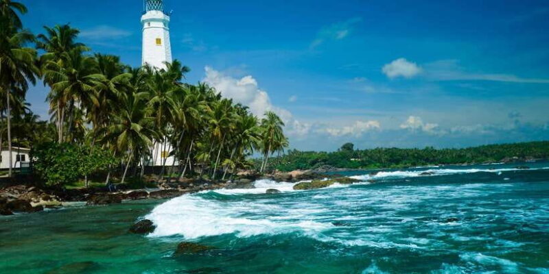 Negombo: Turtle hatchery, River safari, moon stone & Galle - An Overview of the Tour Experience