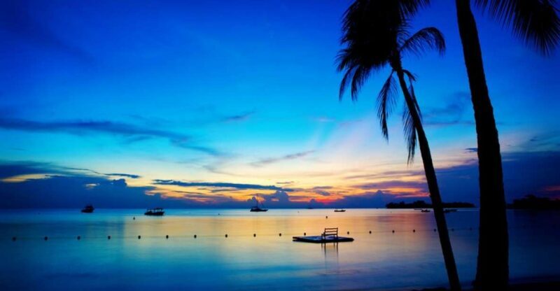 Negril 7-Hour Tour from Montego Bay - Who Will Love This Tour?