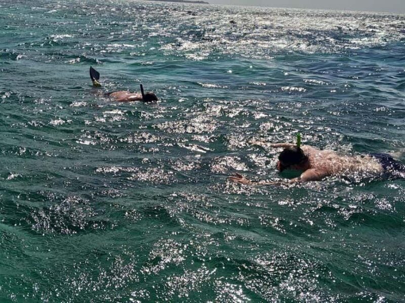 Negril: Booby Cay Island Picnic Tour with Snorkeling - Key Points