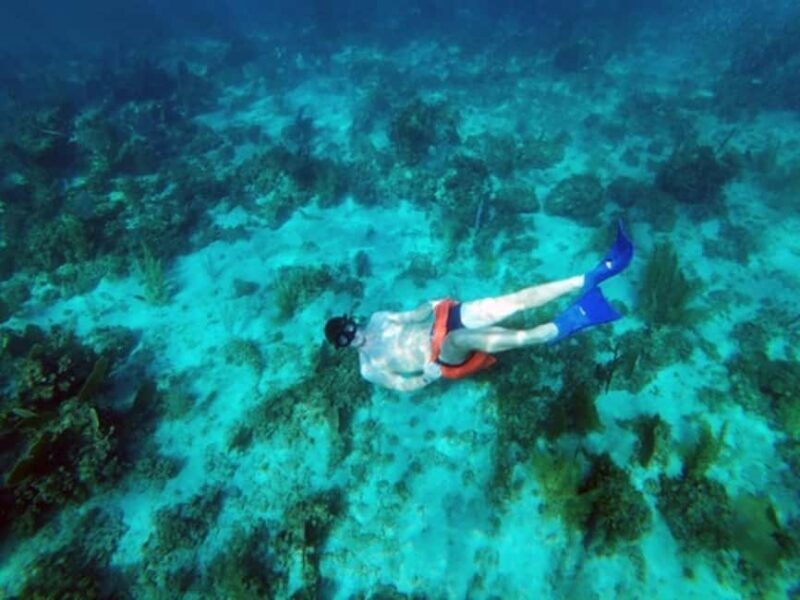 Negril Catamaran Morning Sail: Snorkeling & Pirates Cave - Key Points